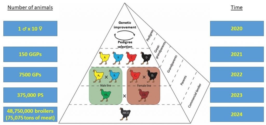 The Cost of Precautionary, Process-based Regulation (3 of 3) – Biobeef Blog